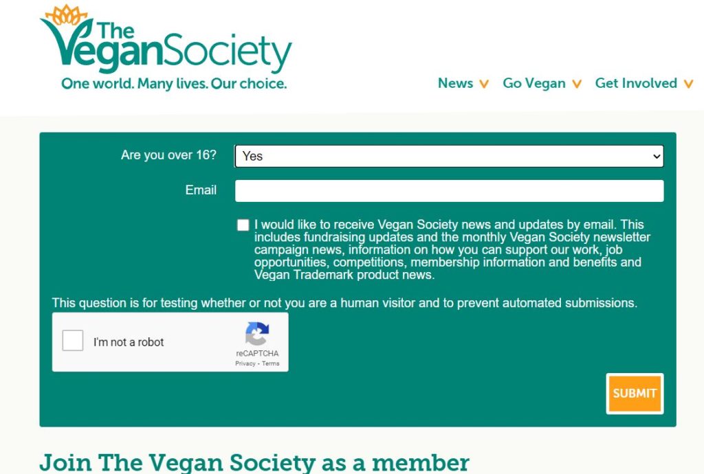 The Best Vegan Newsletters for 2023 - The Newsletter Life
