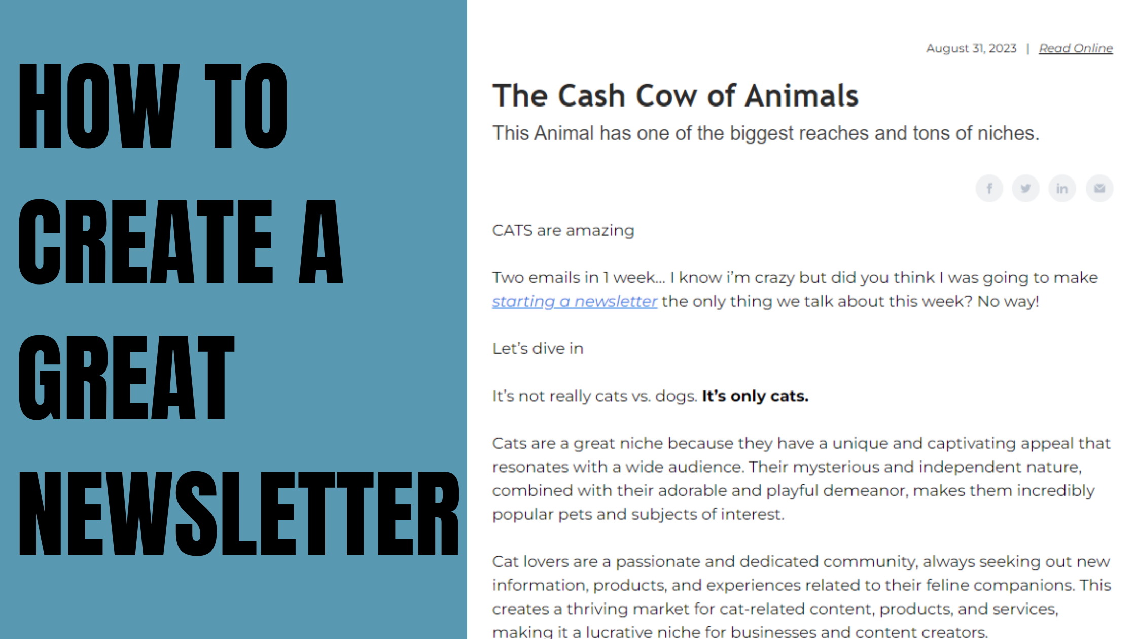 How To Create A Great Newsletter - The Newsletter Life